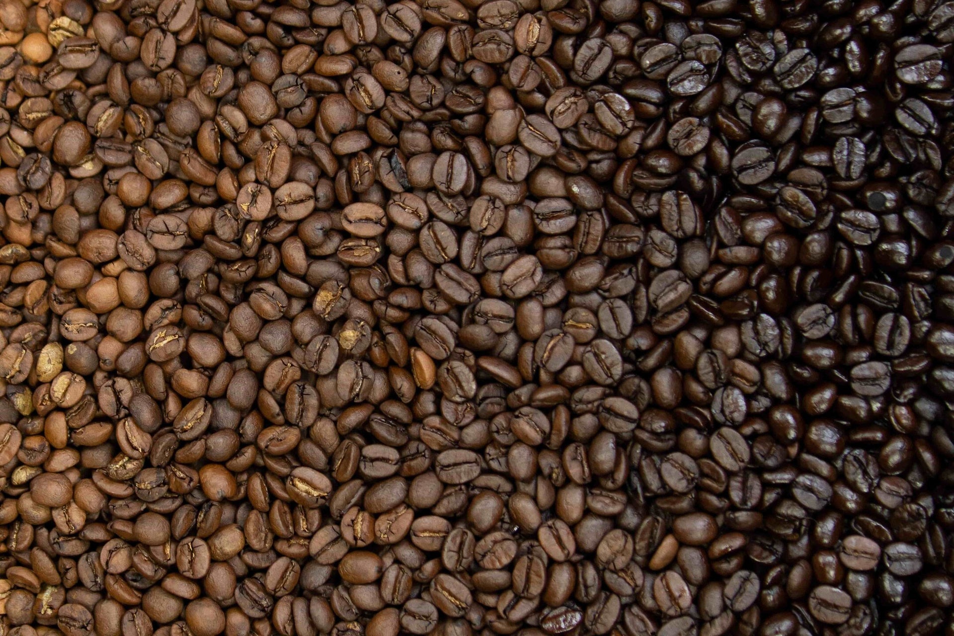 Loving Labor Coffee Co. - Fresh Roasted, Gourmet Coffee Online in AZ